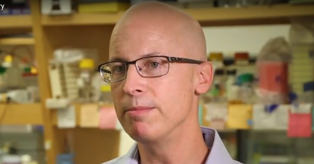 Heart Muscle Regeneration | Giving to Duke Health